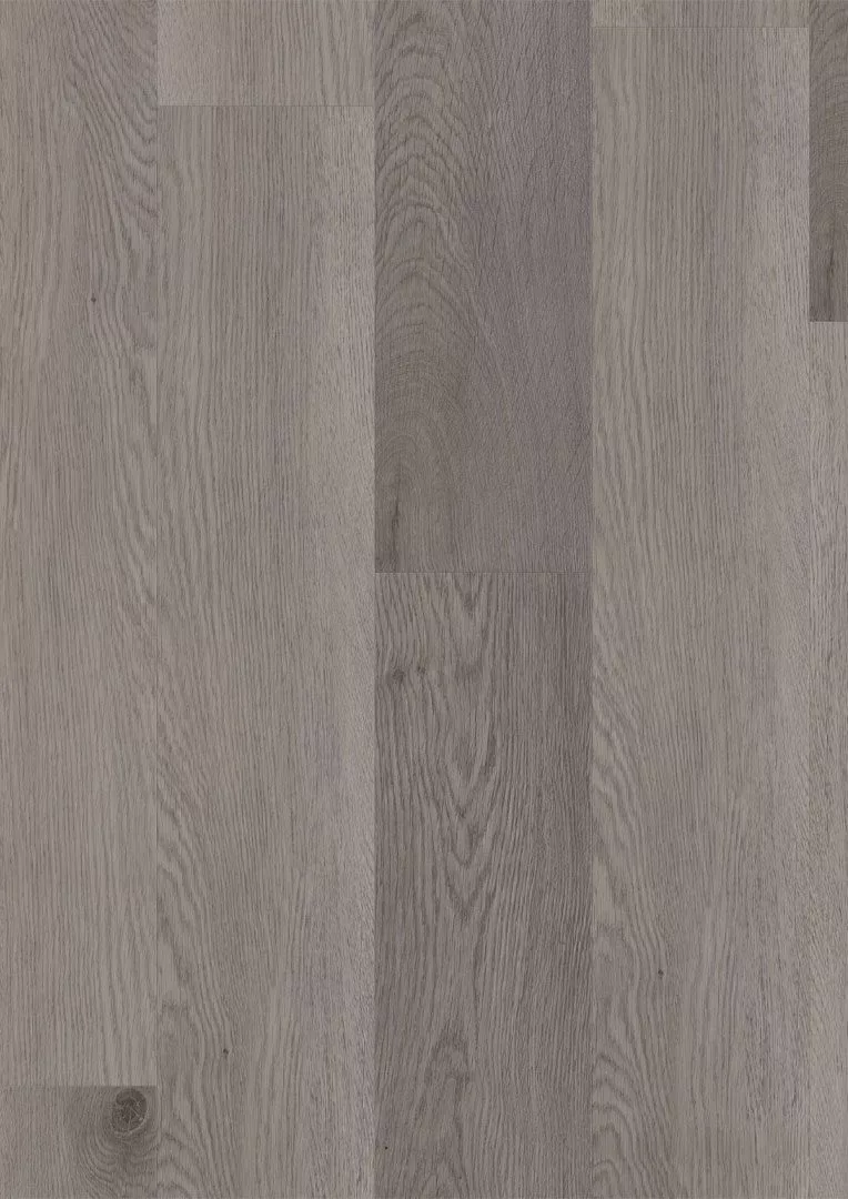 4002CV Harvard Grey - Dream Flooring